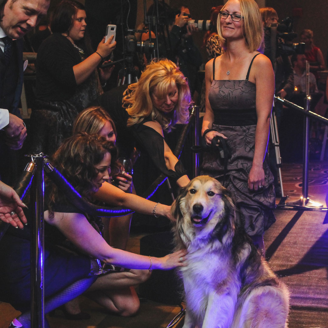 Calgary Humane Society