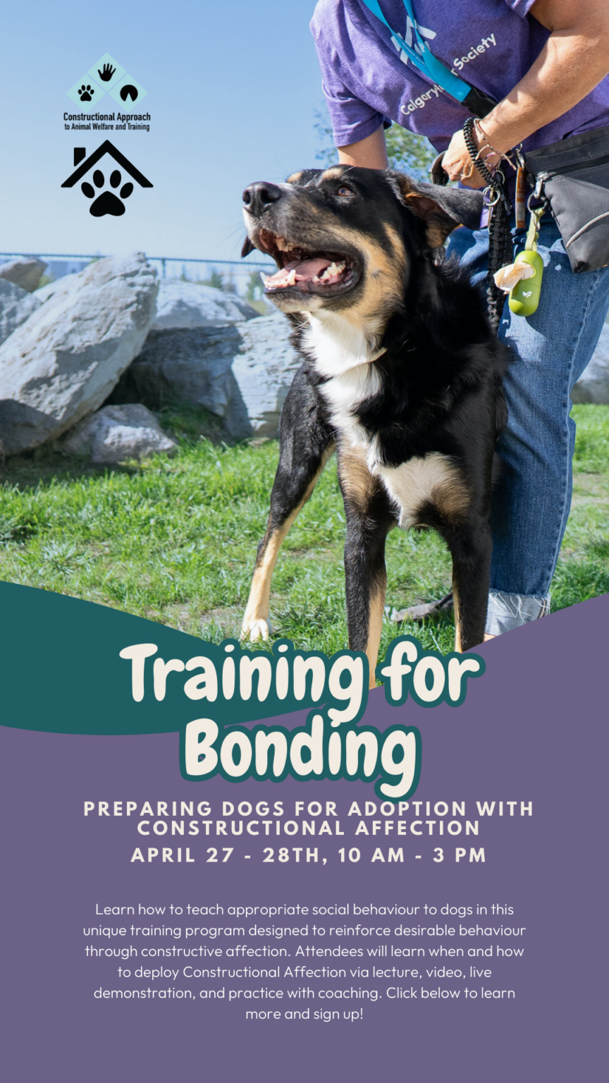Training for Bonding – Constructional Approach to Animal Welfare and ...