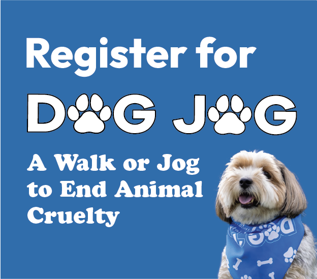 Calgary Humane Society