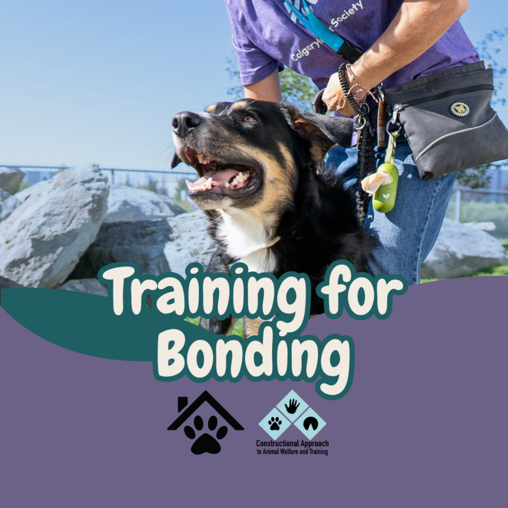 Training for Bonding – Constructional Approach to Animal Welfare and Training | Calgary Humane ...