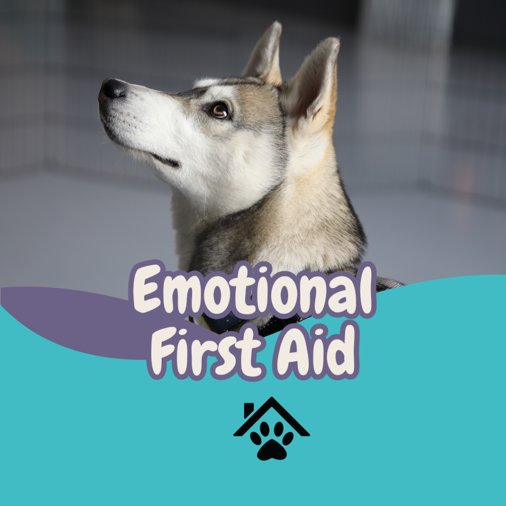 Emotional First Aid for Caregivers | Calgary Humane Society