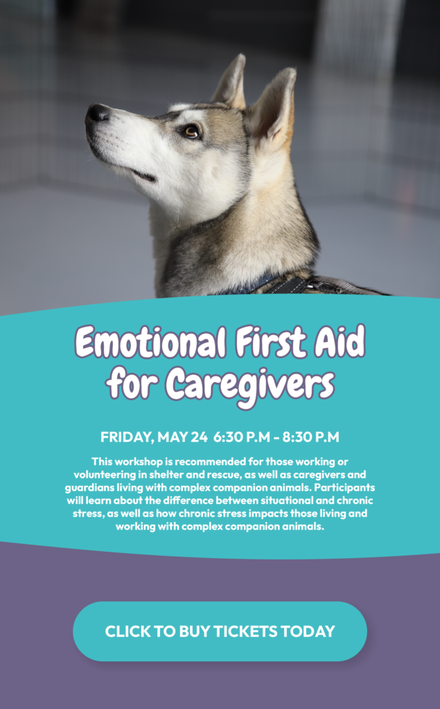 Emotional First Aid for Caregivers | Calgary Humane Society