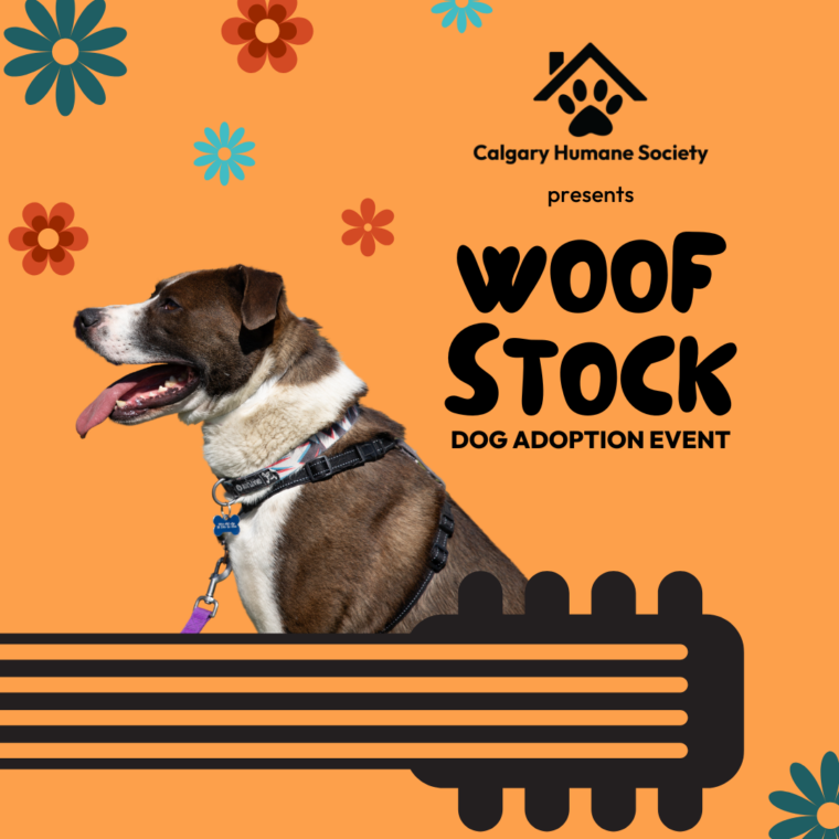 Calgary Humane Society