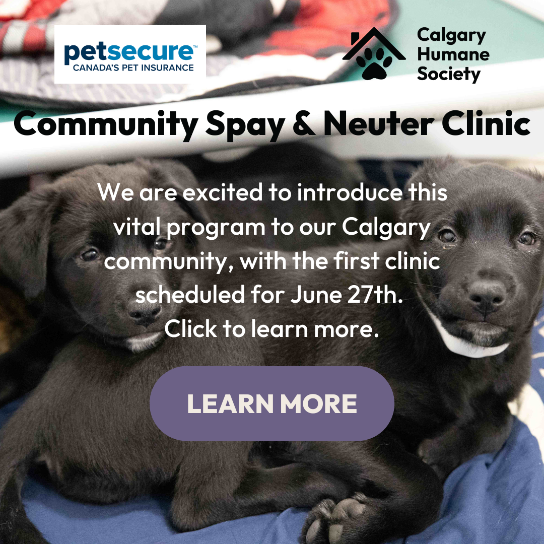 Calgary Humane Society