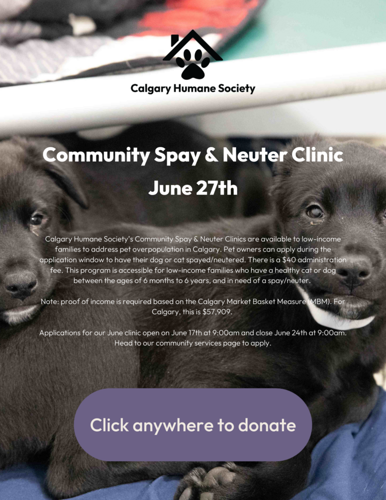 Spay and Neuter Clinics | Calgary Humane Society