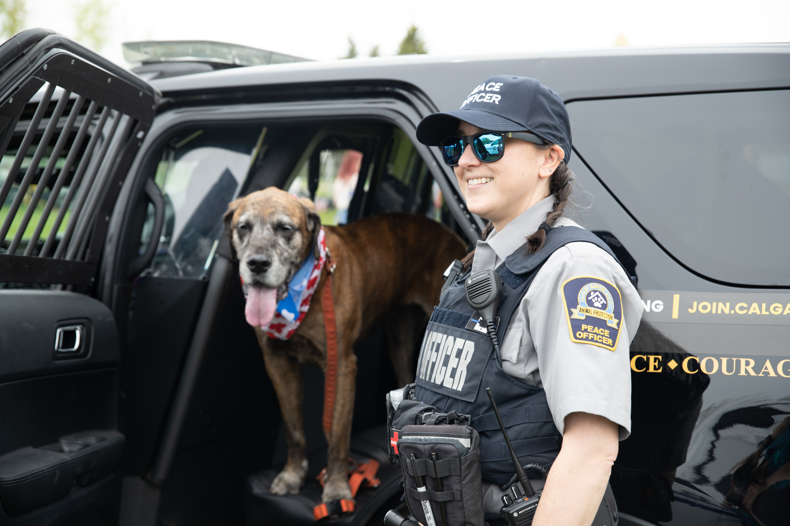 Animal Protection | Calgary Humane Society