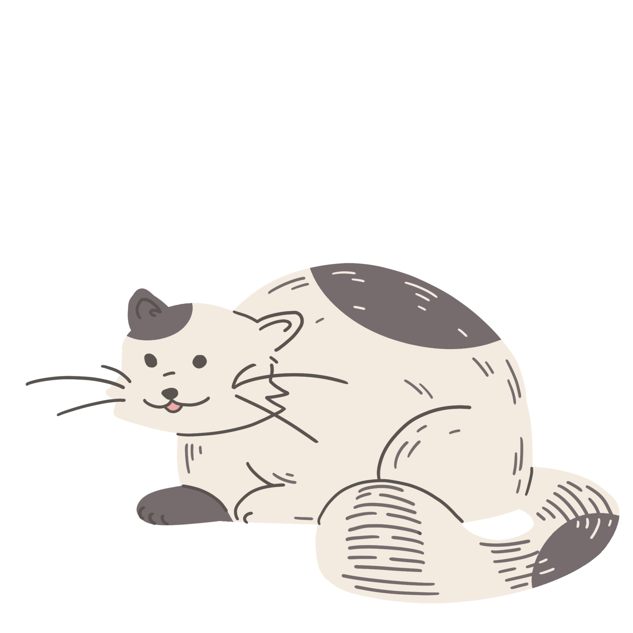 Adopt | Calgary Humane Society