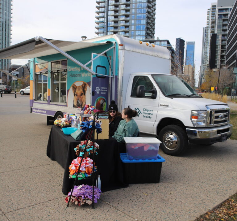 Outreach & Events | Calgary Humane Society