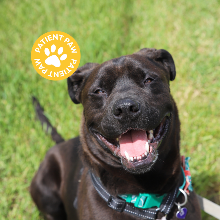 Calgary Humane Society