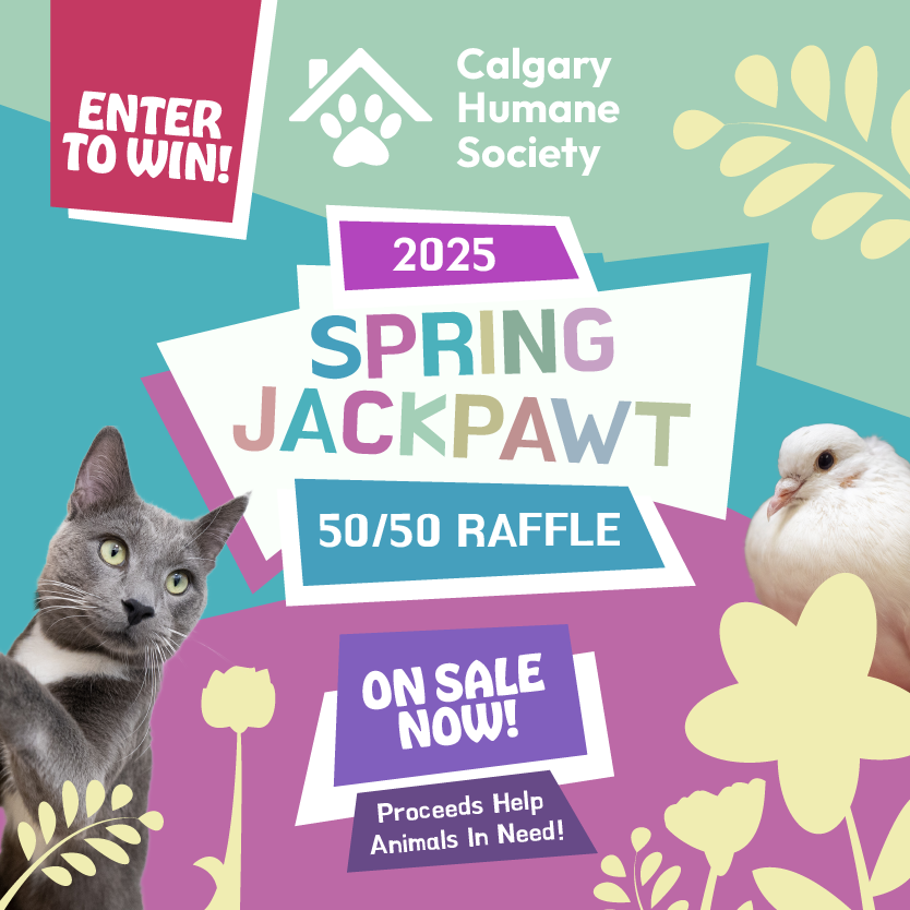 Calgary Humane Society
