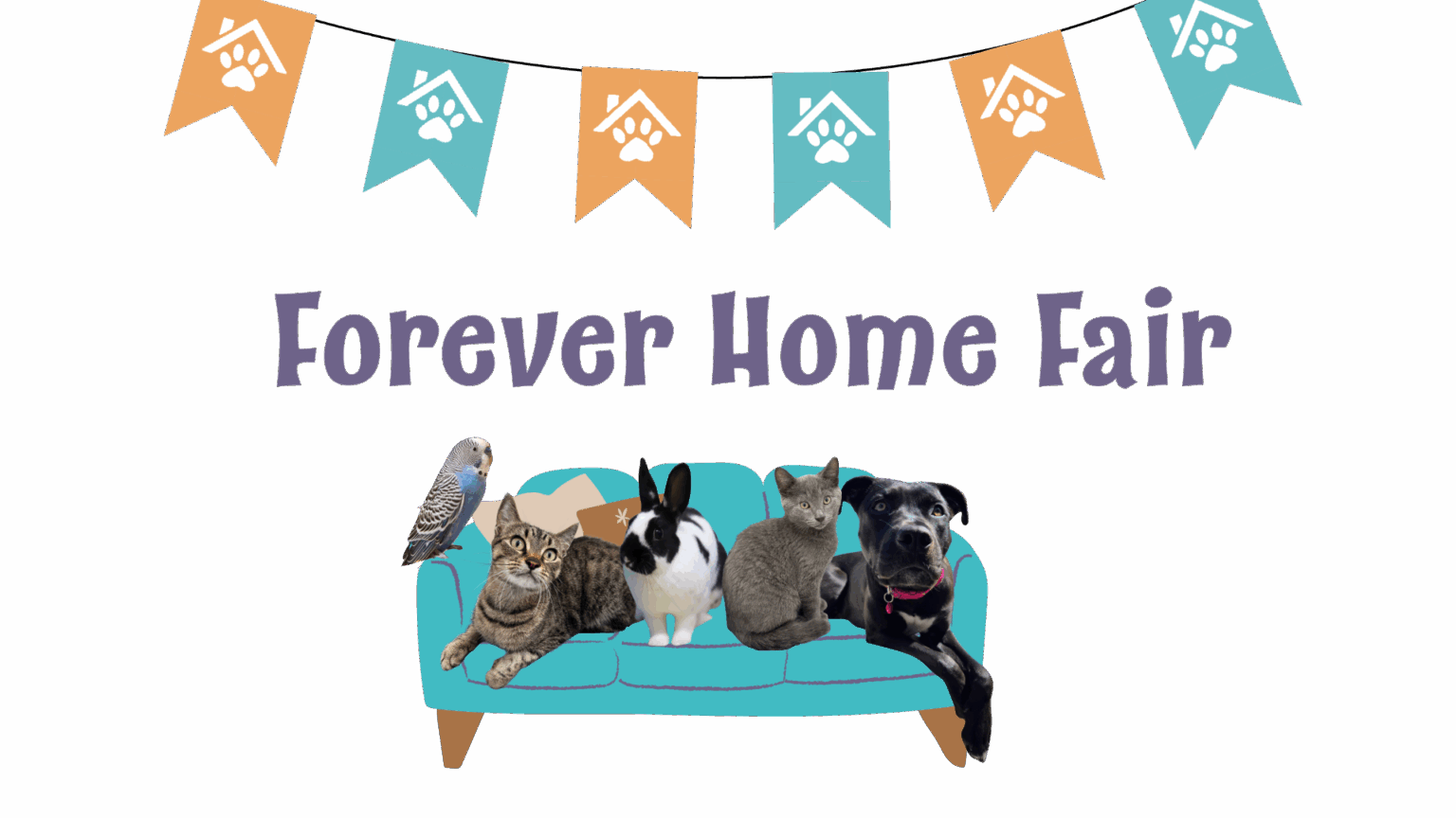 Forever Home Fair | Calgary Humane Society